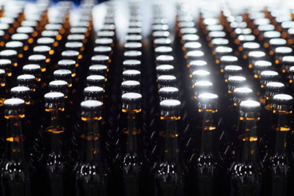 How Many Beers Are In A Case? | The Definitive Guide