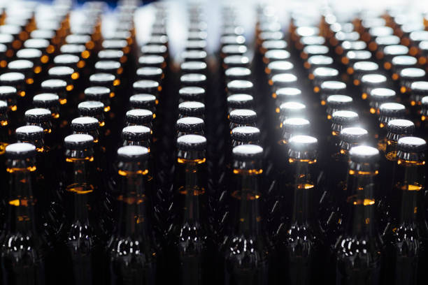 How Many Beers Are In A Case? | The Definitive Guide